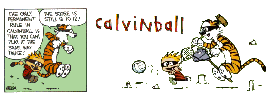 Don’t keep score. Life is Calvin Ball – Sridhar Turaga's blog